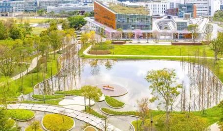 新闻动态-SUSTech Global